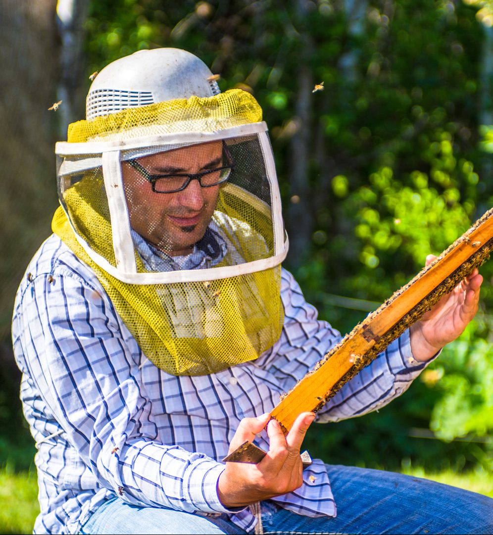 Producing premium honey since the 1930s | Wendell Estate Honey